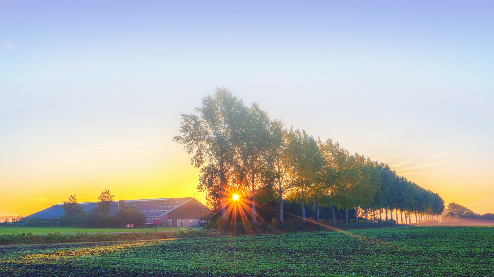 Hort Innovation | Extension resources