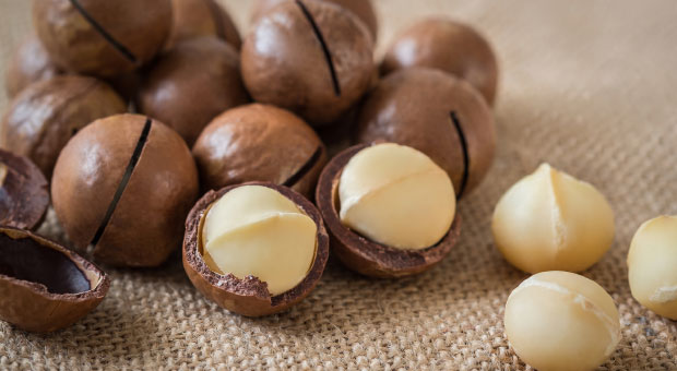 Hort Innovation | Macadamia Fund