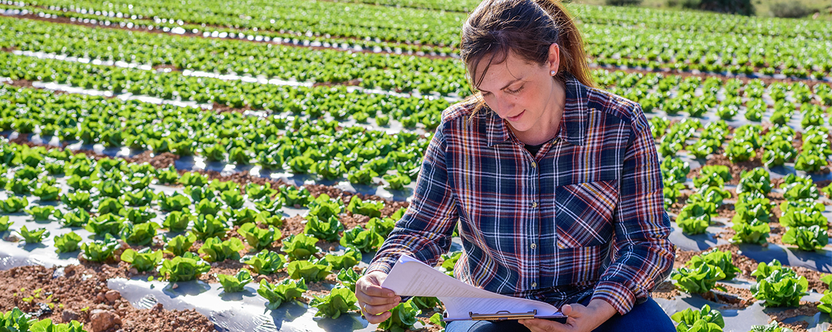 Hort Innovation | Home