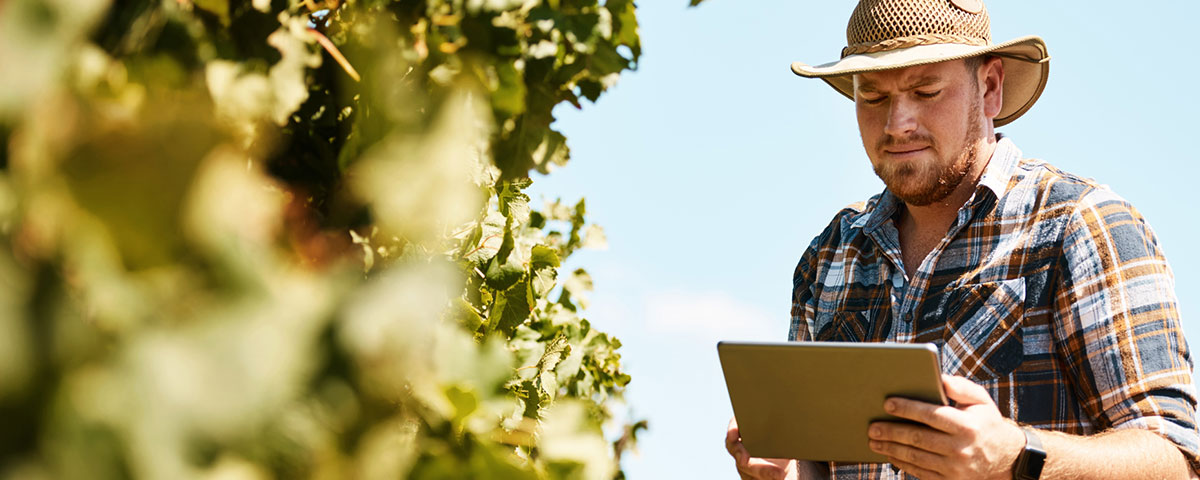 Hort Innovation | Home